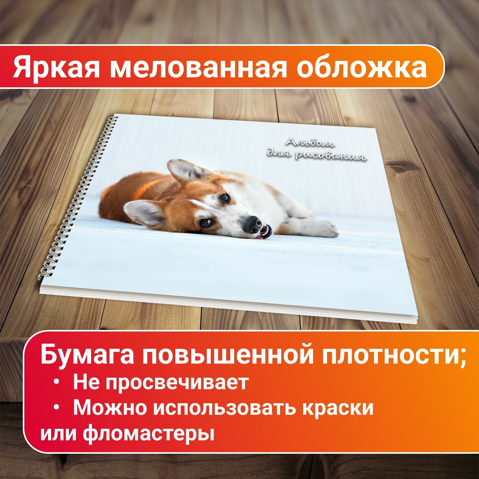 Альбом для рисования Корги — фото 1