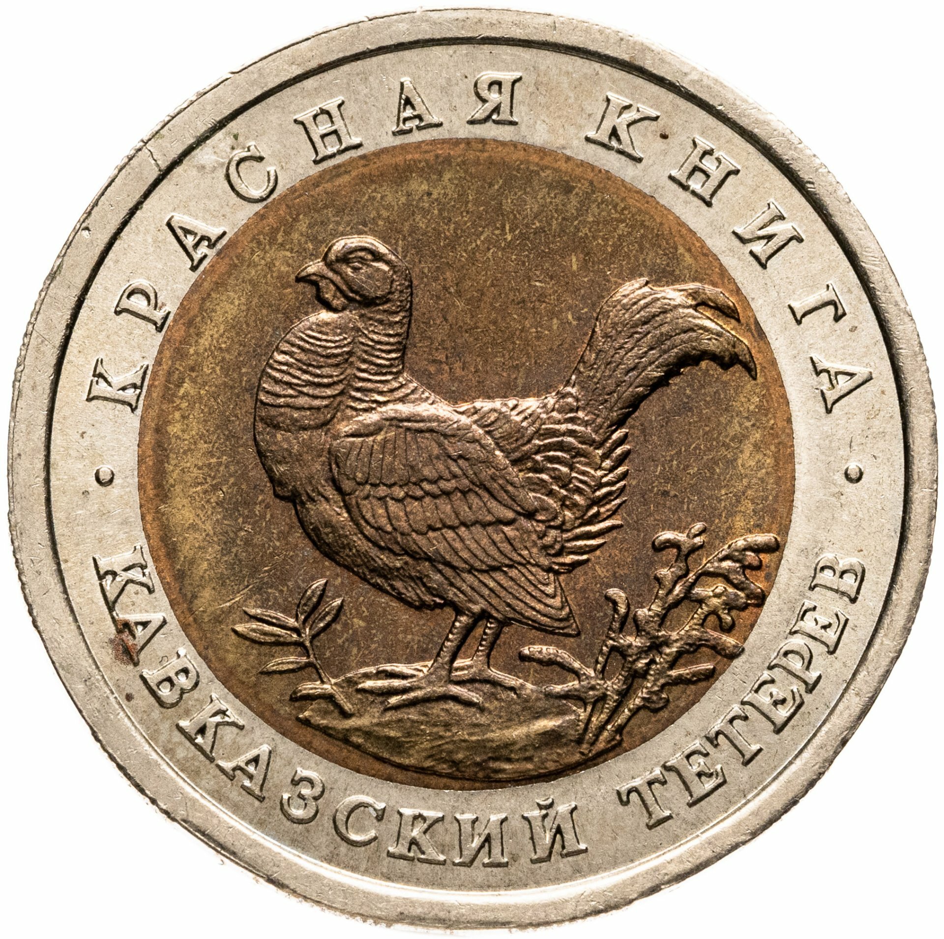 50 рублей 1993 ЛМД кавказский тетерев, Биметалл, в сохранности AU-UNC