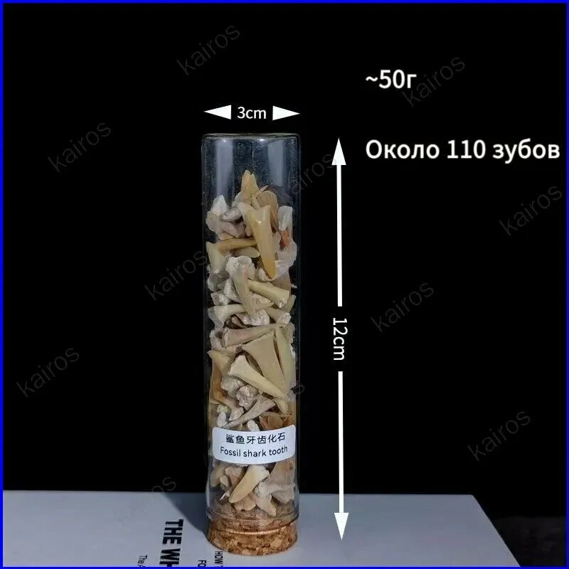 Настоящие окаменелости зубов акулы в стеклянной бутылке, 110 штук ( 50г), палеонтологический образец, коллекционный набор, подарок