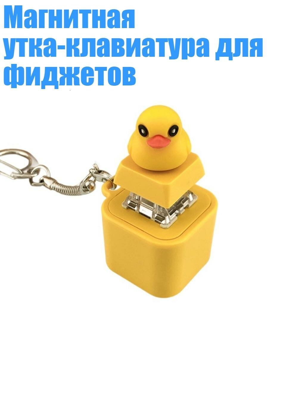 Магнитная утка-клавиатура для фиджетов, Магнитная модель