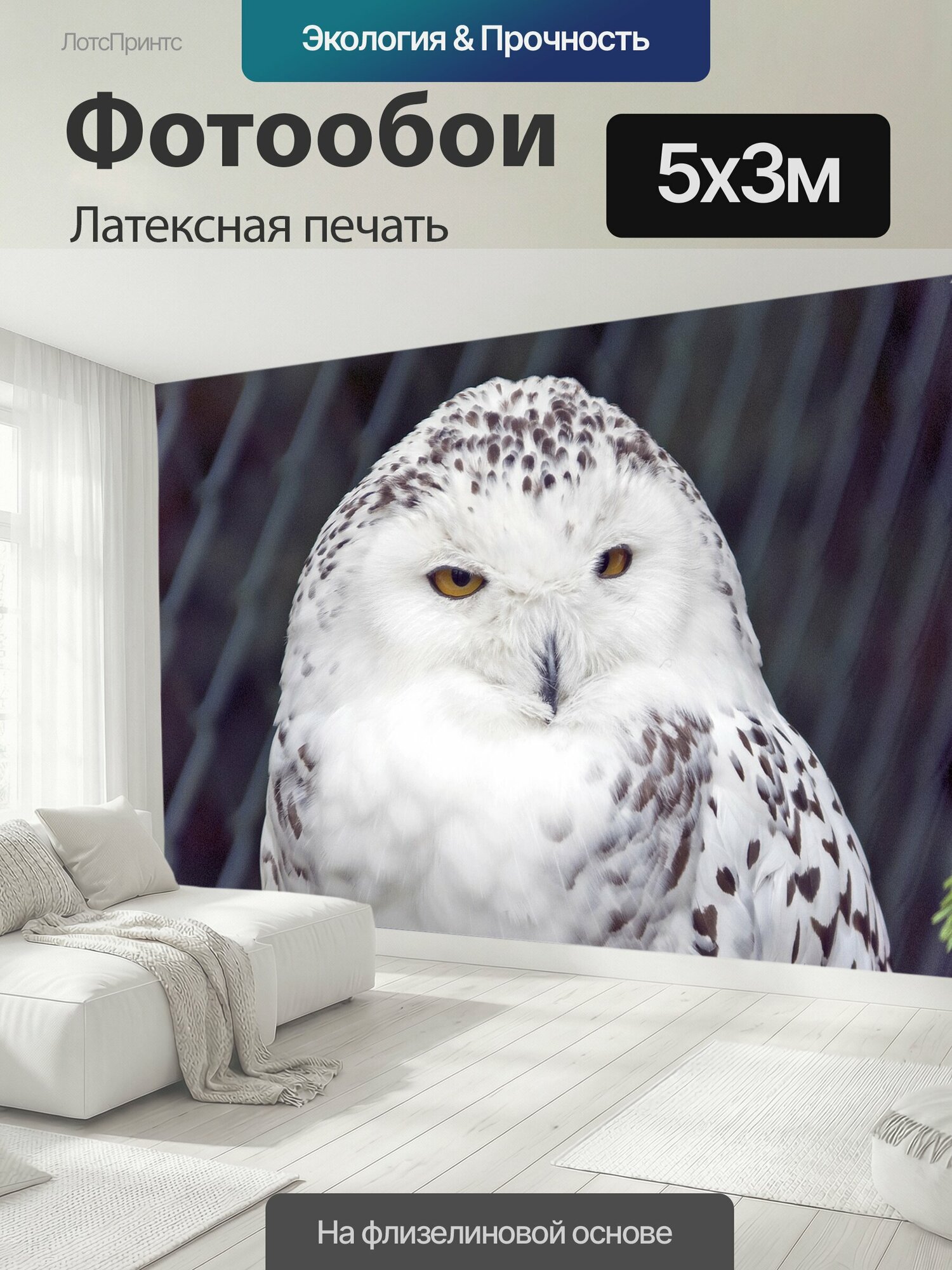 Фотообои моющиеся ударопрочные "Снежная сова, сова, птица" 500x300 см. латексная печать