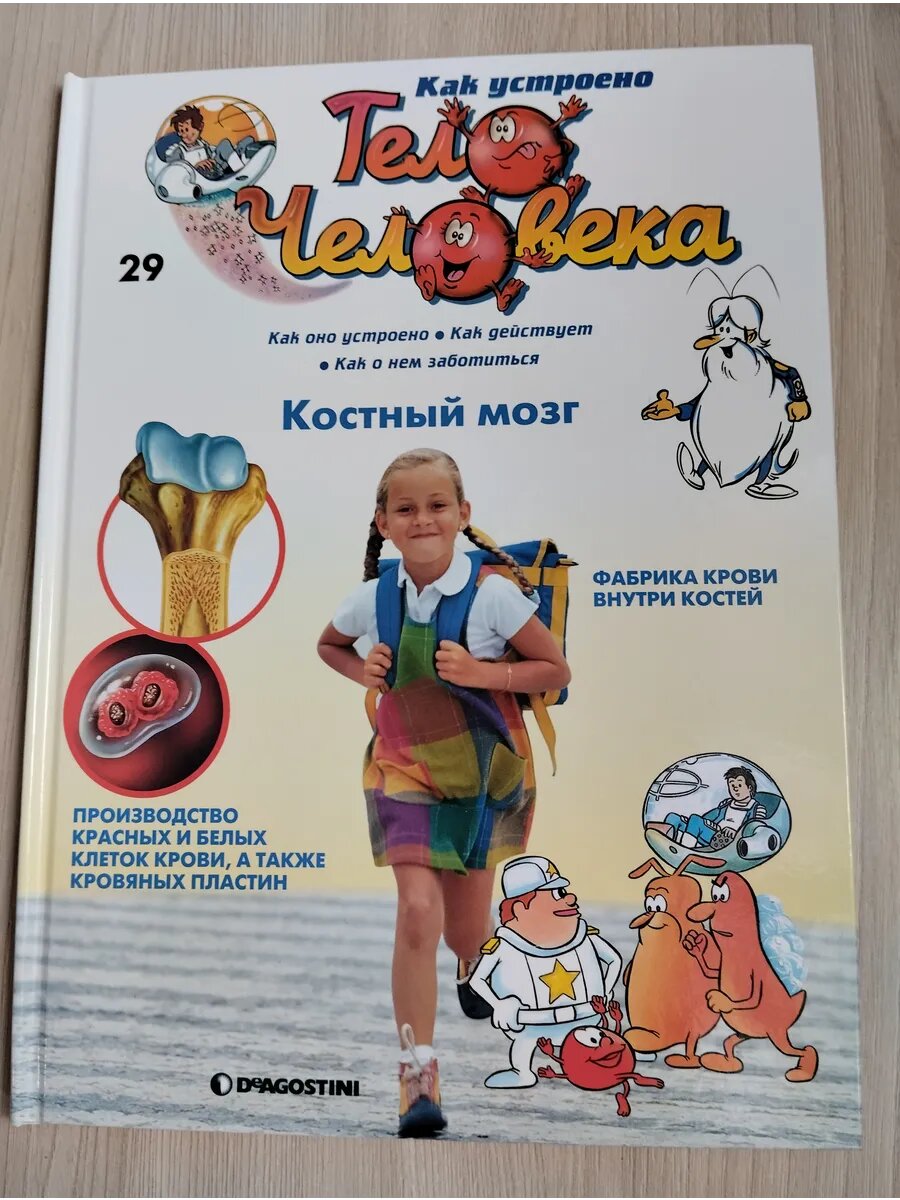 Как устроено тело человека. Костный мозг. Выпуск 29