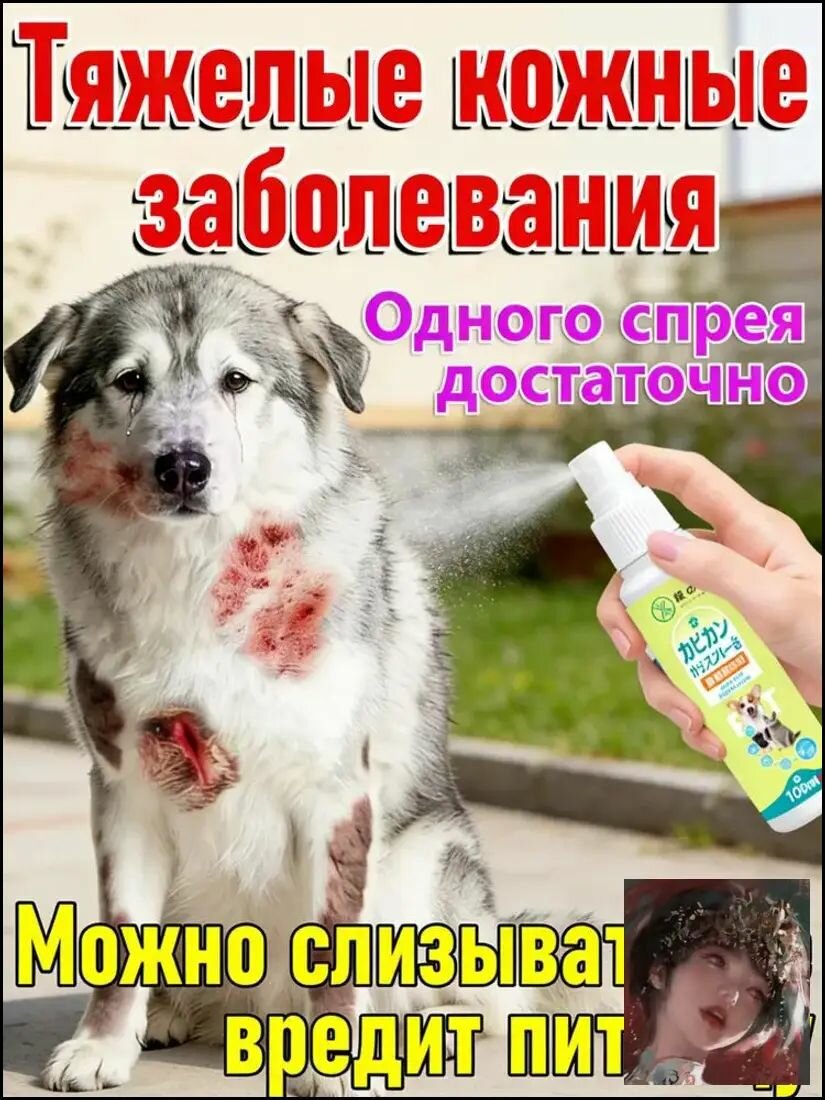 Лечебный спрей от грибковых инфекций для собак, объем 100 мл, натуральный состав с ароматом клевера, без рецепта
