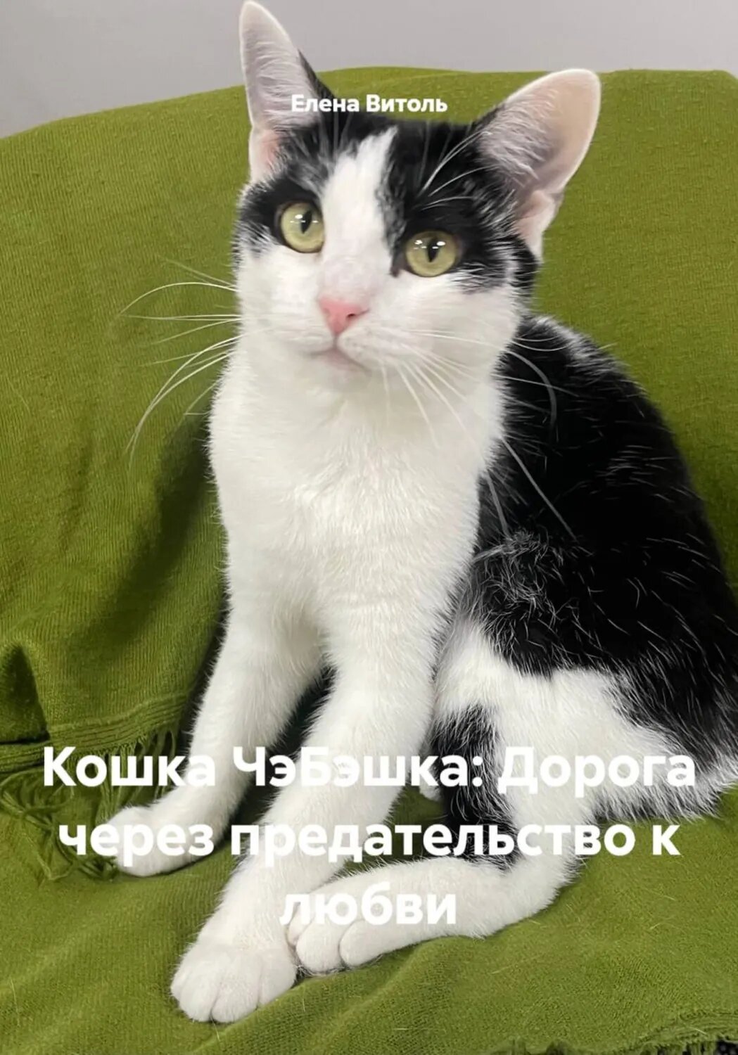 Кошка ЧэБэшка: Дорога через предательство к любви [Цифровая книга]