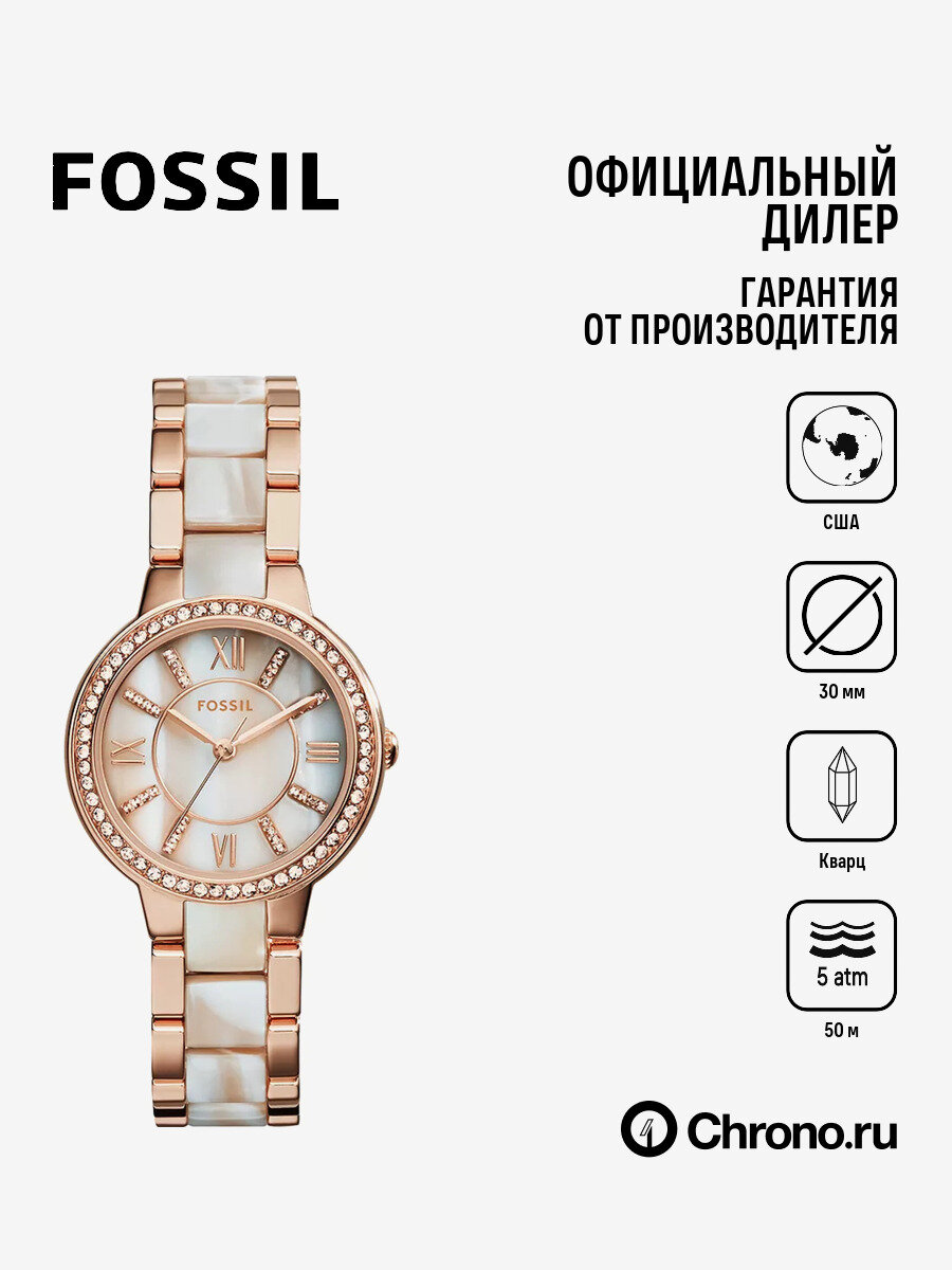 FOSSIL