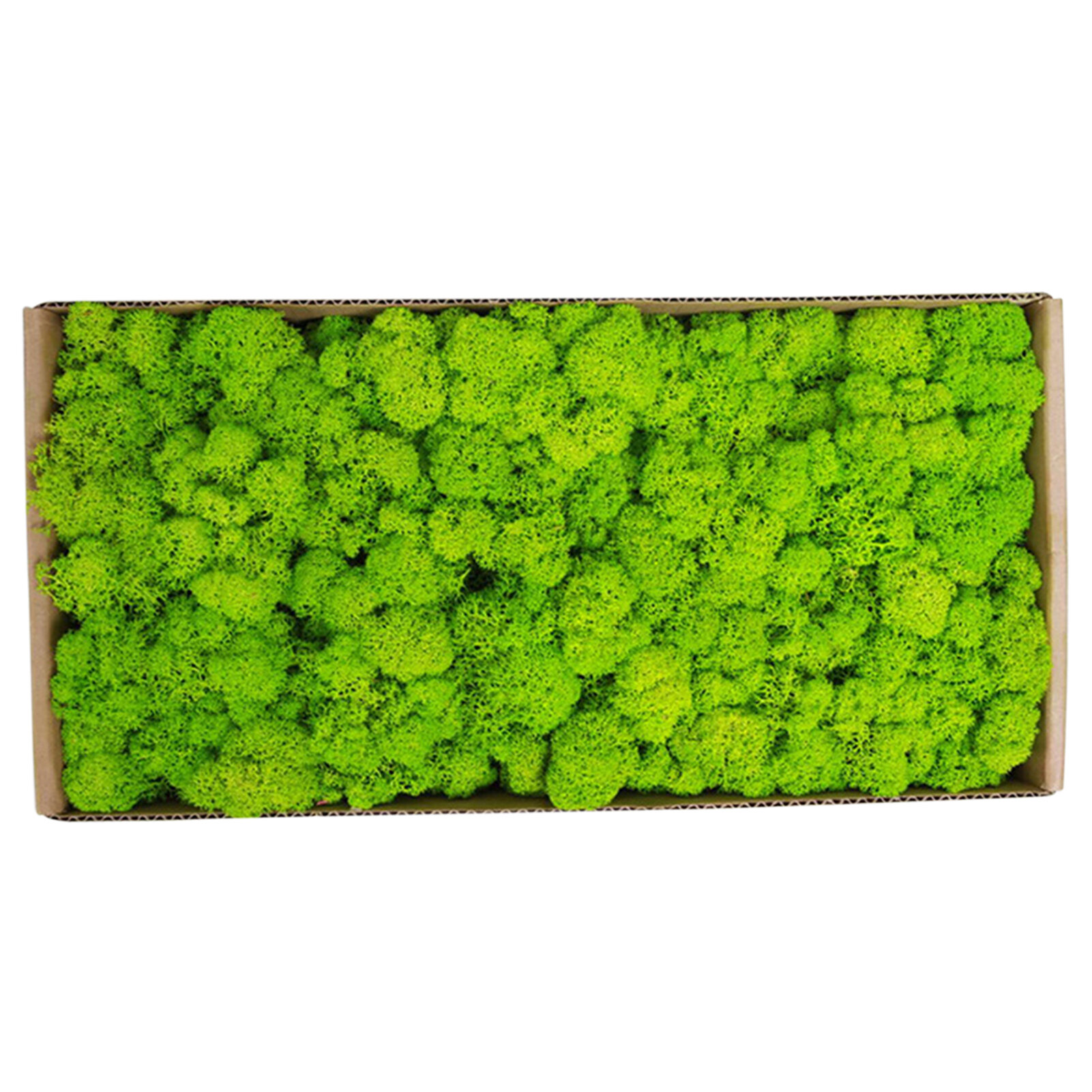 Консервированный мох для садового декора, настенного искусства, микроландшафтные декоративные элементы.