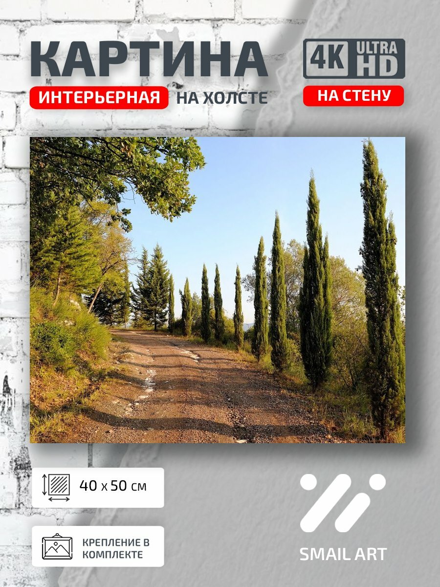 Картина на холсте интерьерная 40 на 50 на стену Можжевельника Landscape для кафе пейзаж