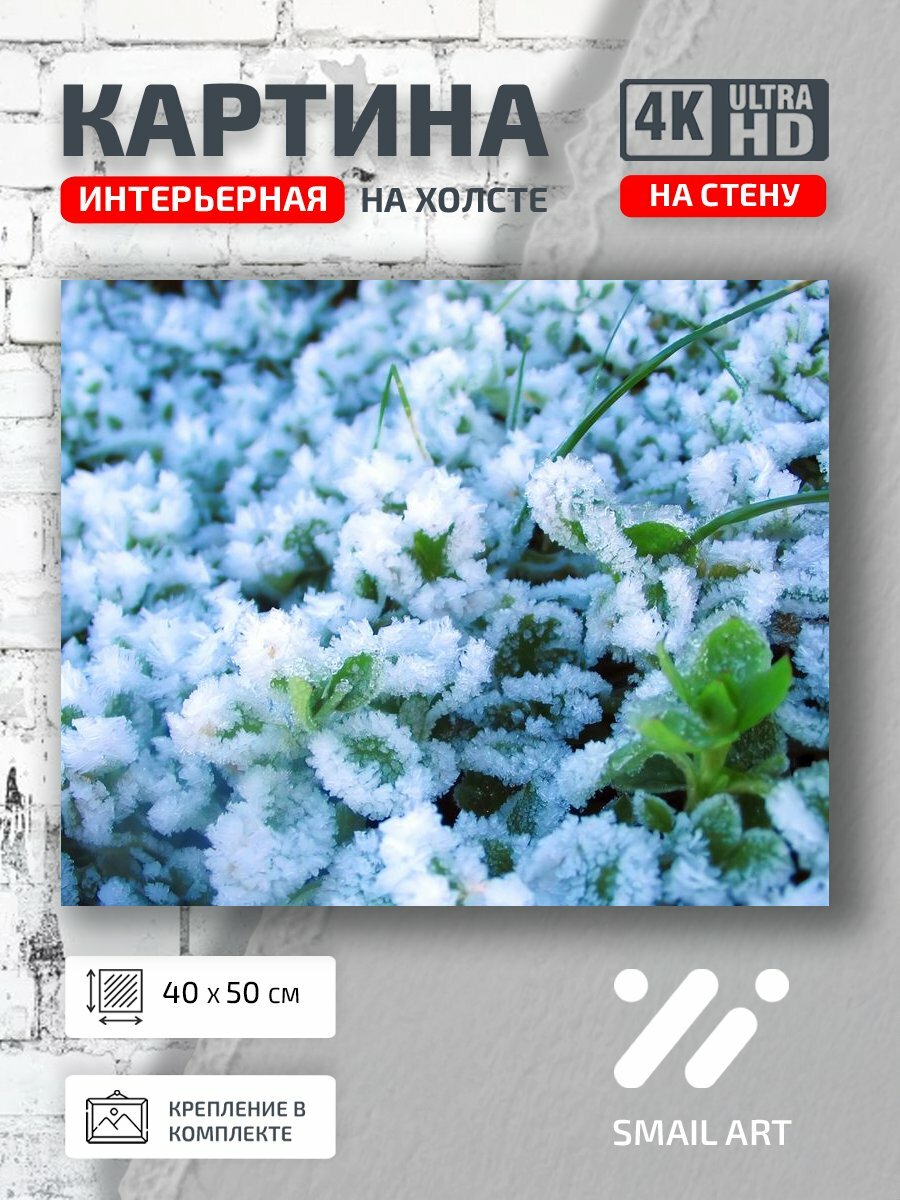 Картина на холсте интерьерная 40 на 50 на стену Зима Landscape для кабинета пейзаж интерьер