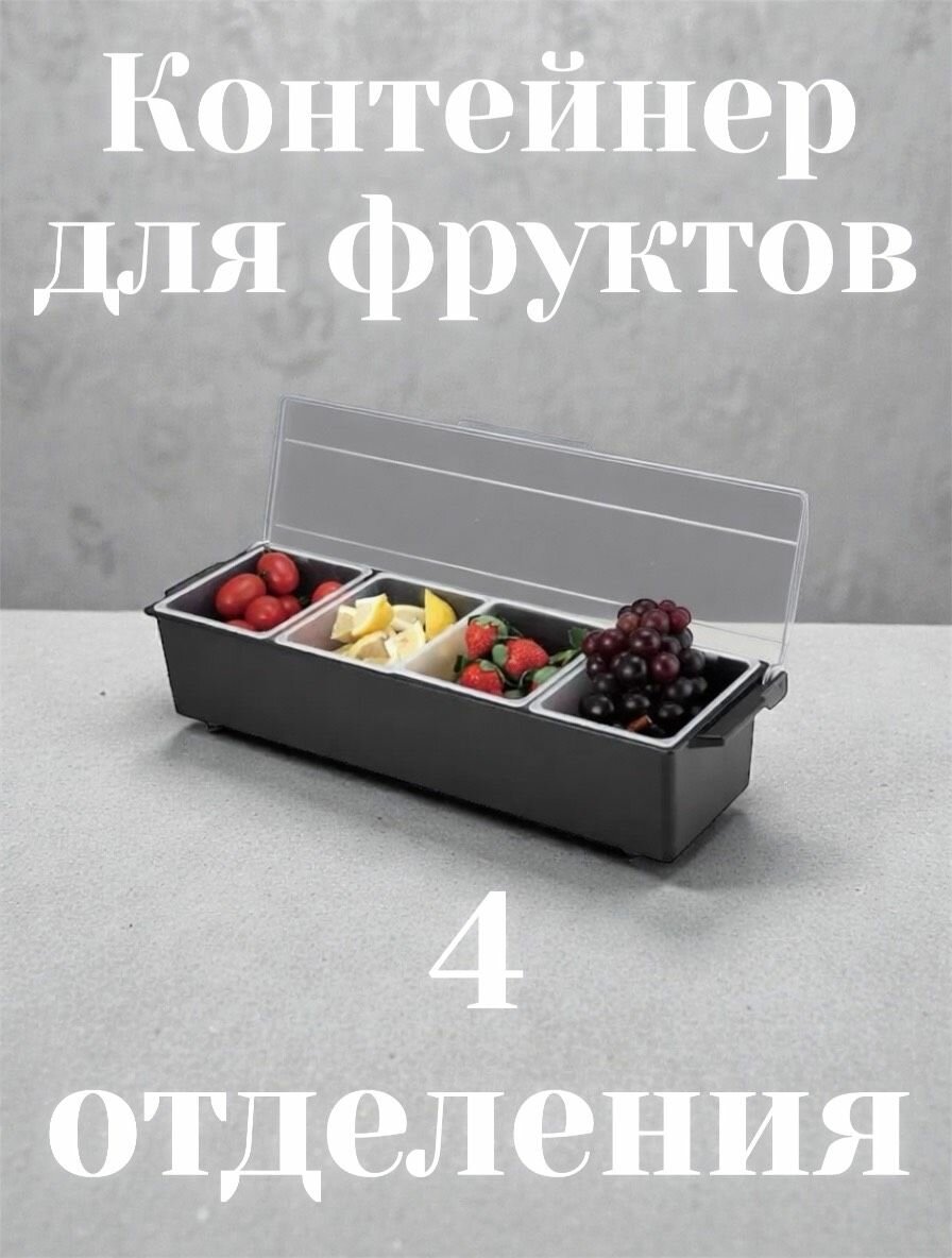 Профессиональный контейнер для фруктов, специй 4 отделения, пластиковый корпус.