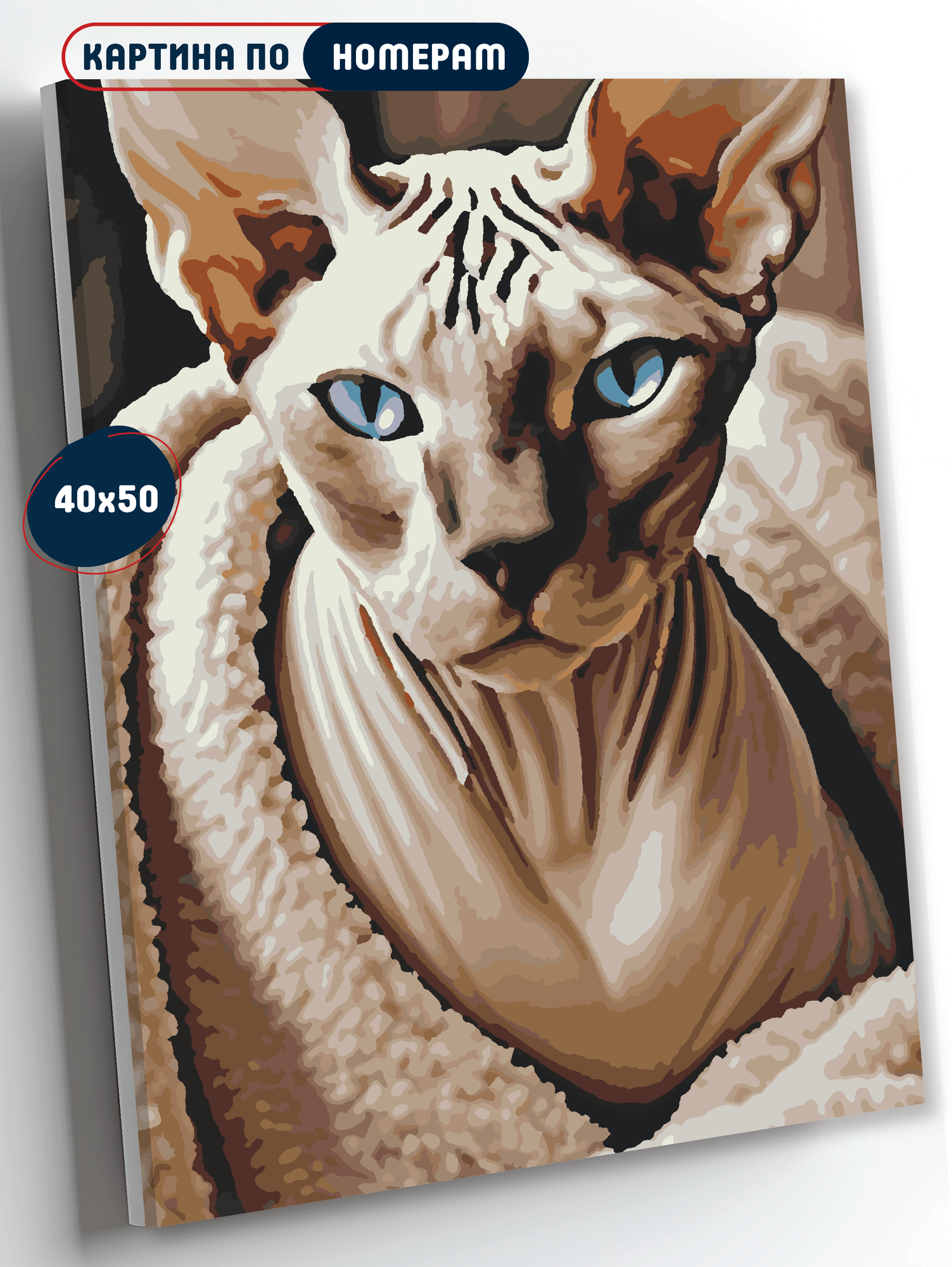 Картина по номерам "Кот", Холст на подрамнике 40х50, набор для рисования, с животными