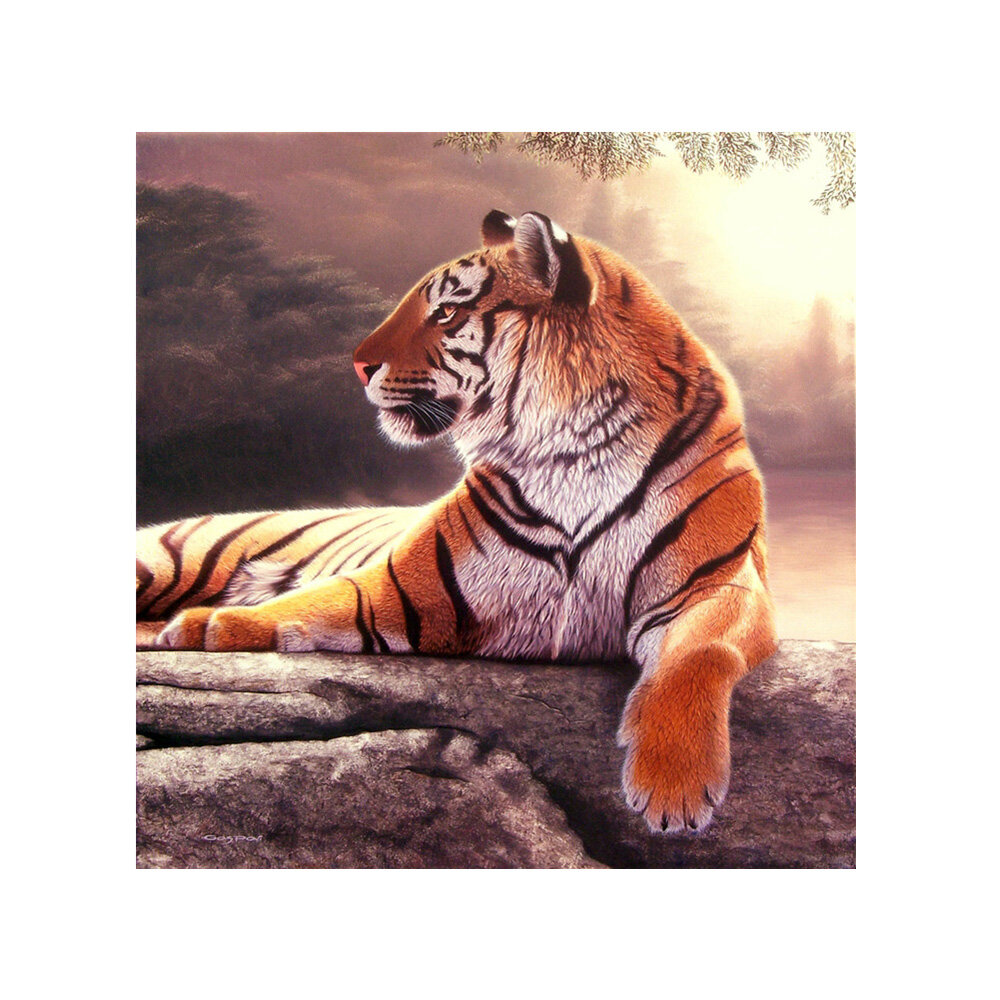 Круглые алмазные ринestones 5D для DIY алмазной живописи для декора стен дома, цвета A, B, C, D, E, F, G, H, I (выбор), материал холст и смолярный алмаз, форма алмаза кристалл и специальная форма, алмазная площадь частично сверлена, рама не включена,