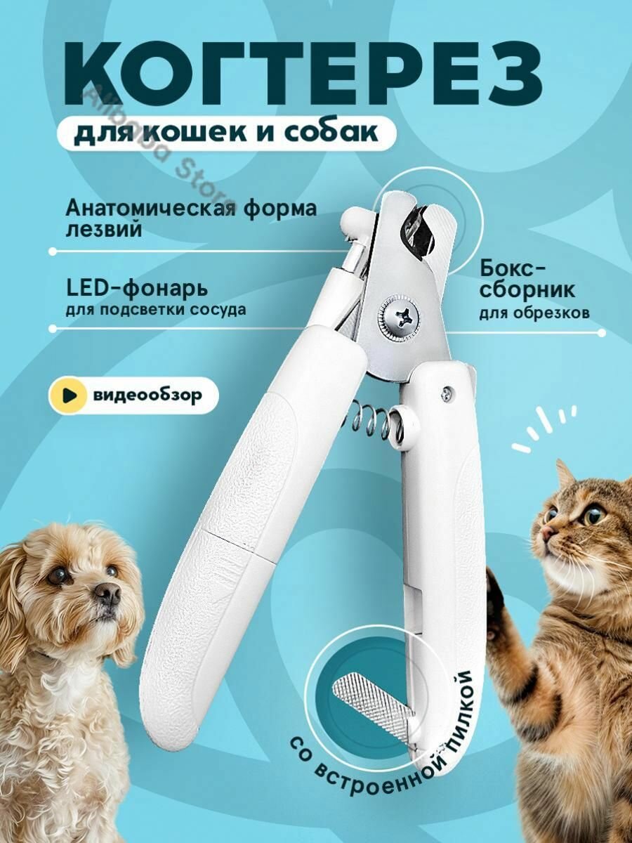 Когтерез