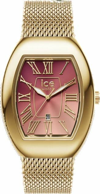 Наручные часы Ice-Watch