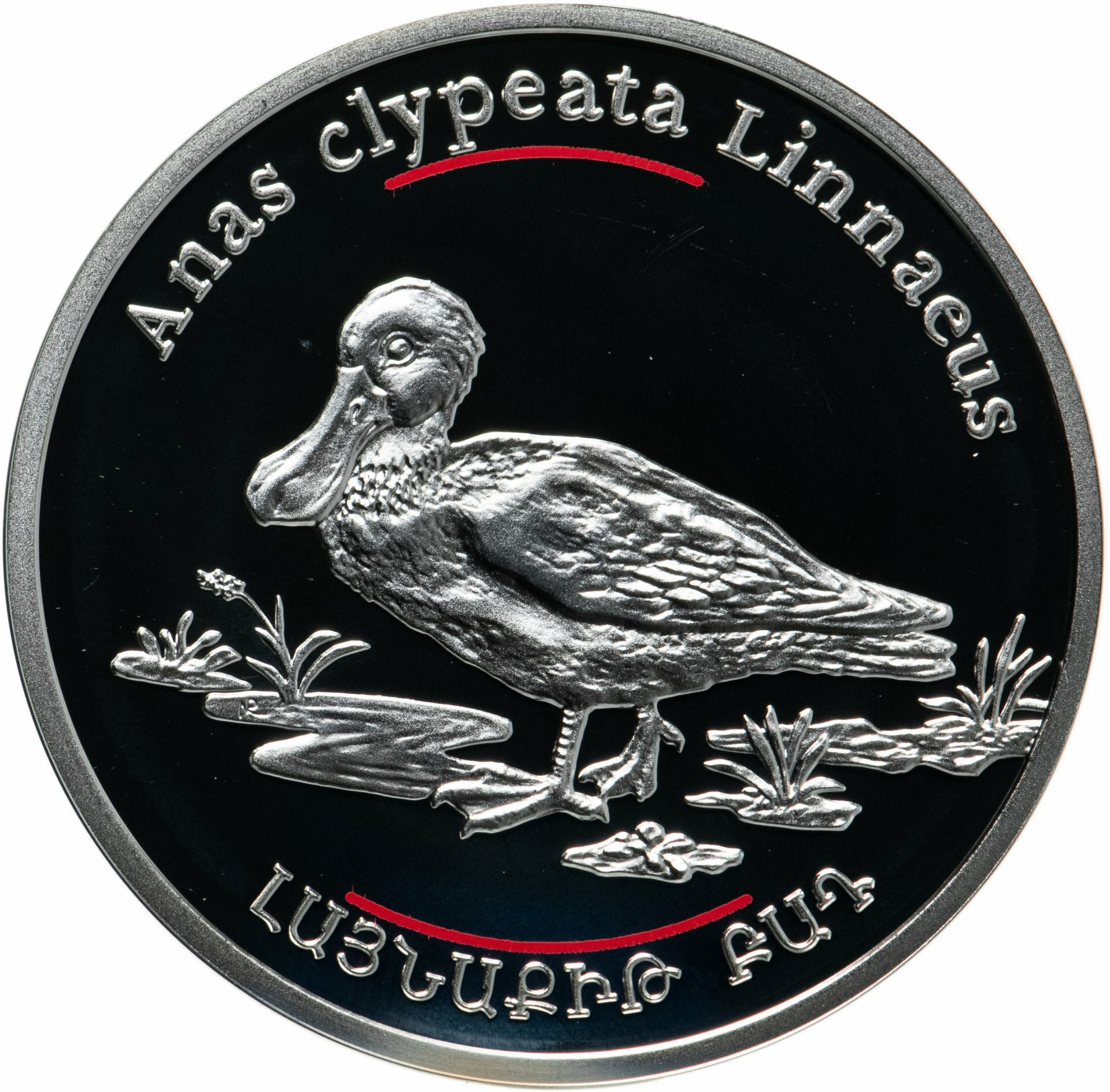 Армения 100 драмов 2007 Proof "Защита животных - Широконосая утка, красная книга", Серебро 925