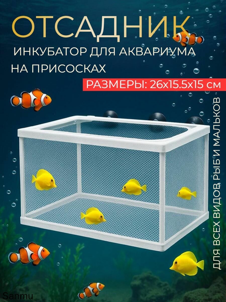 Отсадник с сеткой для аквариума для рыб инкубатор для мальков 26х15.5х15 см
