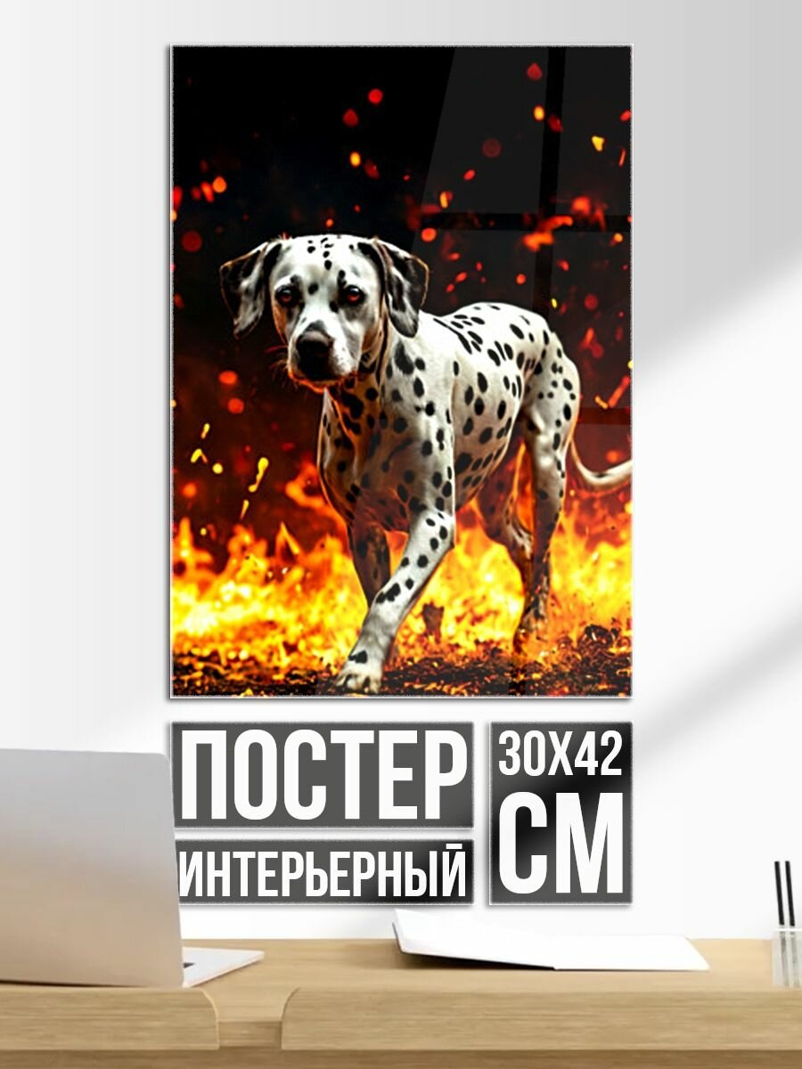 Постер на стену Далматин в огне