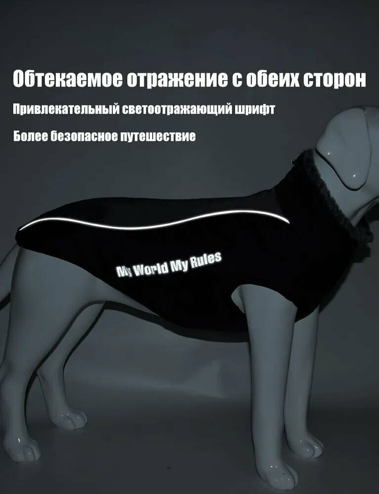 Одежда для животных — фото 1