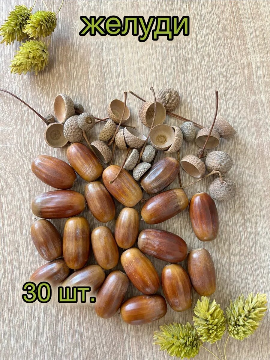 Желуди со шляпками натуральные для поделок, природный материал