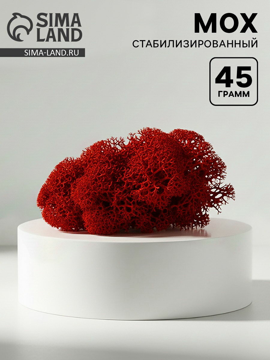 Мох стабилизированный "Красный" 45 гр, цвет: красный, размер упаковки: 7 x 4.5 x 12 см.