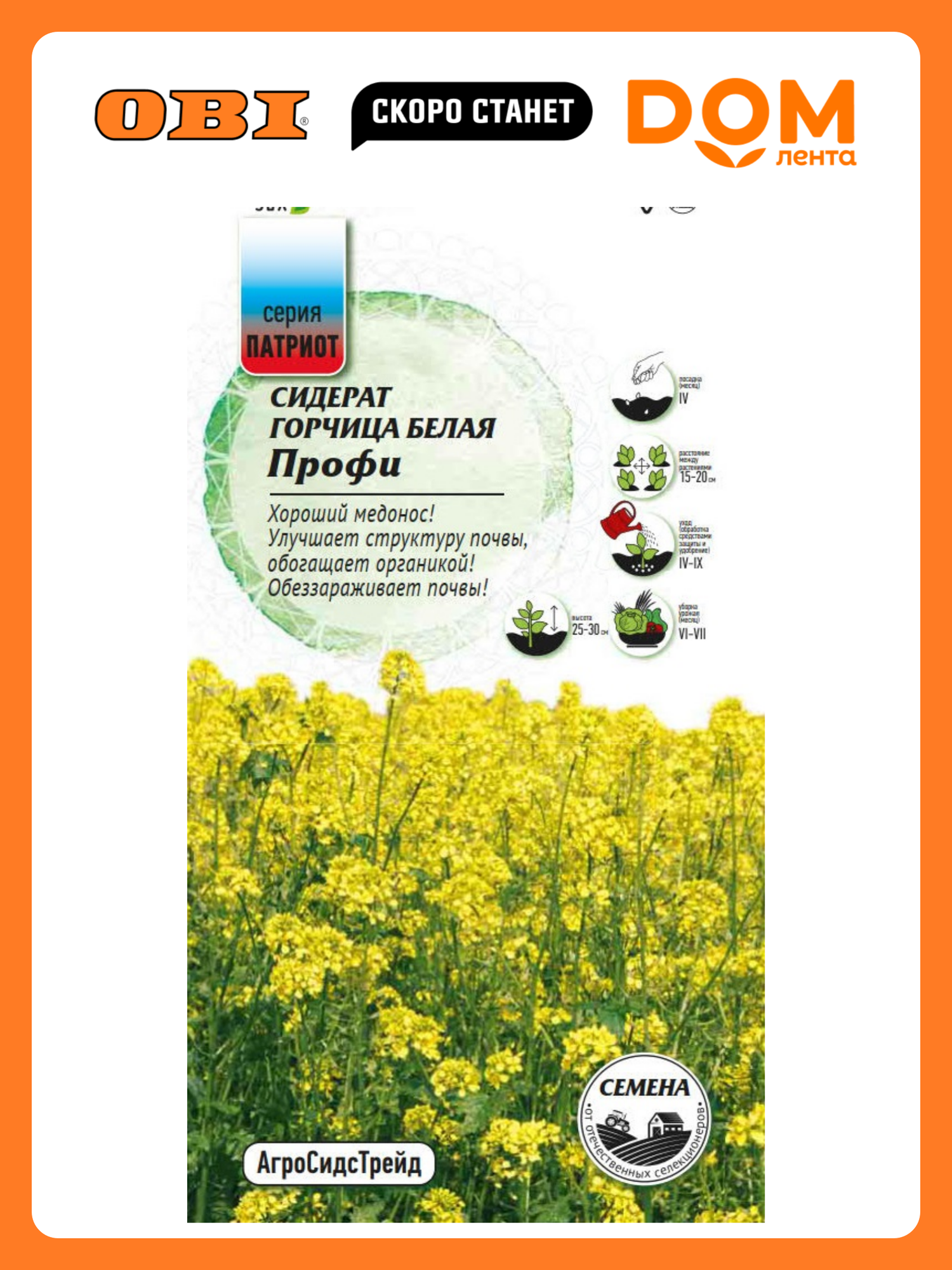 Семена Сидерат Горчица белая Профи патриот