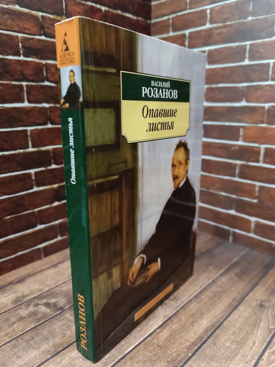 Опавшие листья Розанов В.В. 2008 год