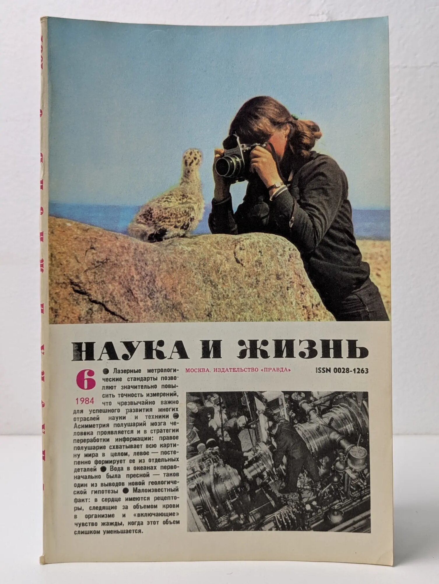 Наука и жизнь. Выпуск № 6/1984 Сборник 1984