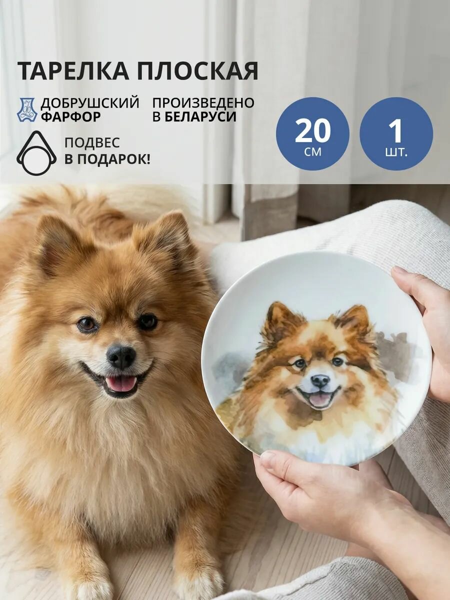 Тарелка обеденная 20 см Добрушский фарфоровый завод Мой питомец. Тим