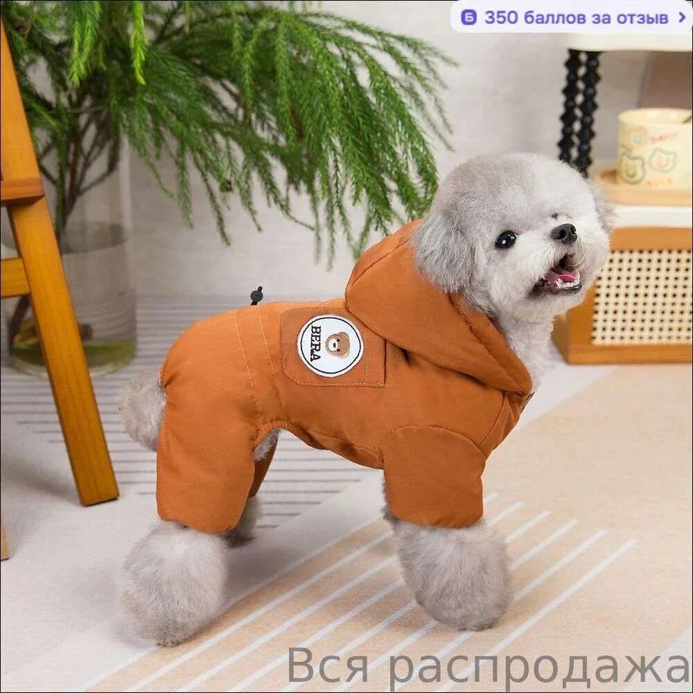 Зимний спортивный комбинезон для маленьких собак с капюшоном, размер XL
