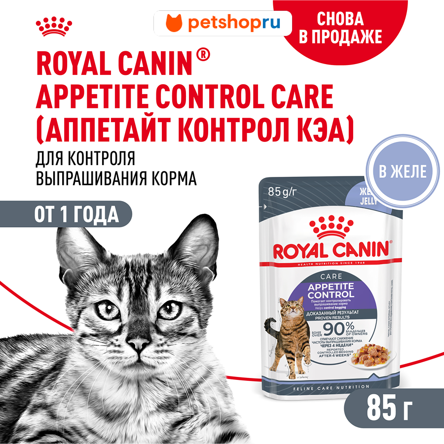 Royal canin Влажный корм для кошек для контроля выпрашивания в желе 85 г