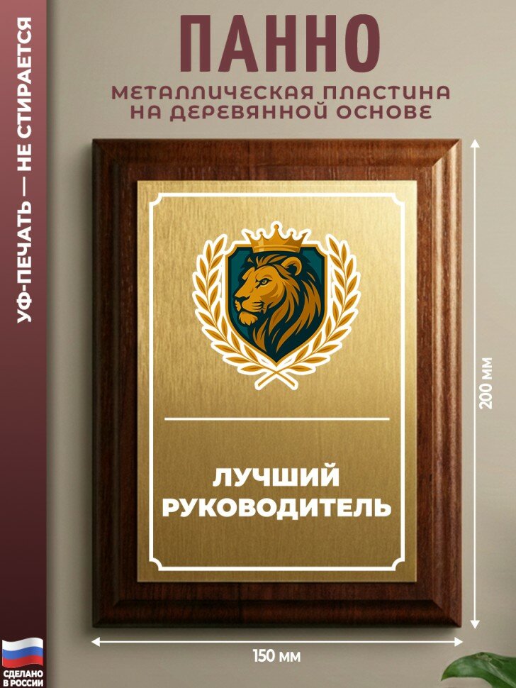 Настенный диплом "Лучший руководитель"