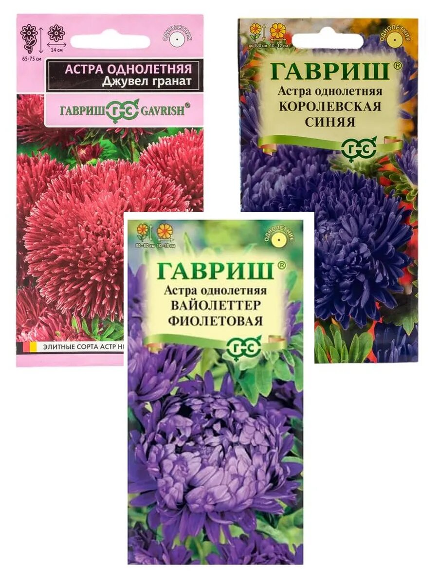 Набор семян Астра Джувел Гранат, Королевская синяя и Вайолеттер