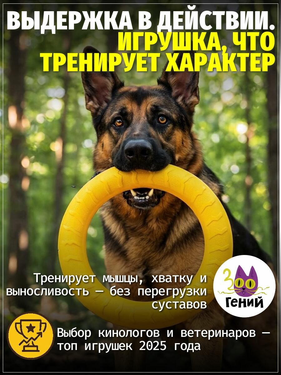 Игрушка для собак крупных пород, пуллер-кольцо 28 см из EVA, безопасный тренажёр для дрессировки и прогулок с питомцем