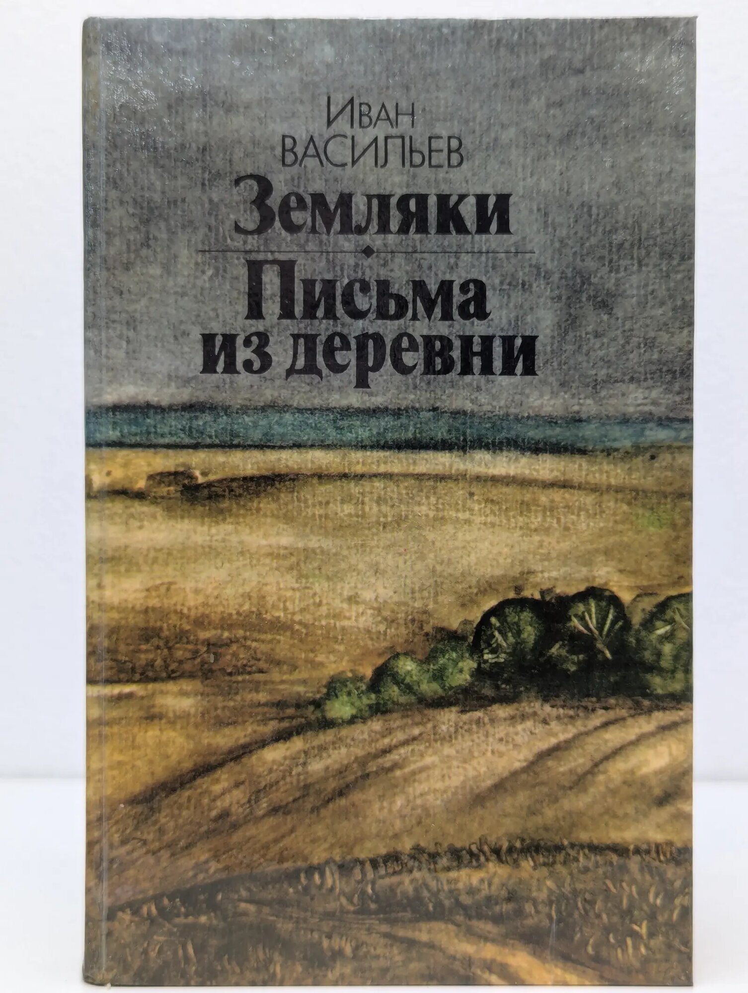 Земляки. Письма из деревни Васильев Иван Афанасьевич 1985