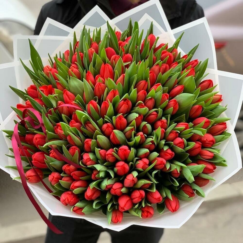 Букет из красных тюльпанов 101 шт, красивый букет цветов, шикарный, премиум цветы, премиум букет