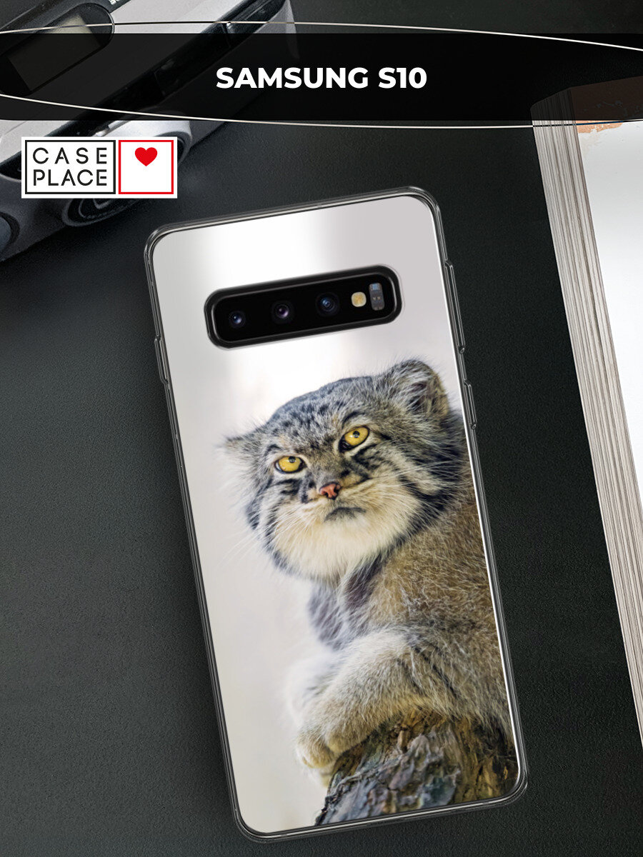 Чехол на Samsung Galaxy S10 / Самсунг Галакси S10 с принтом Кот манул 1