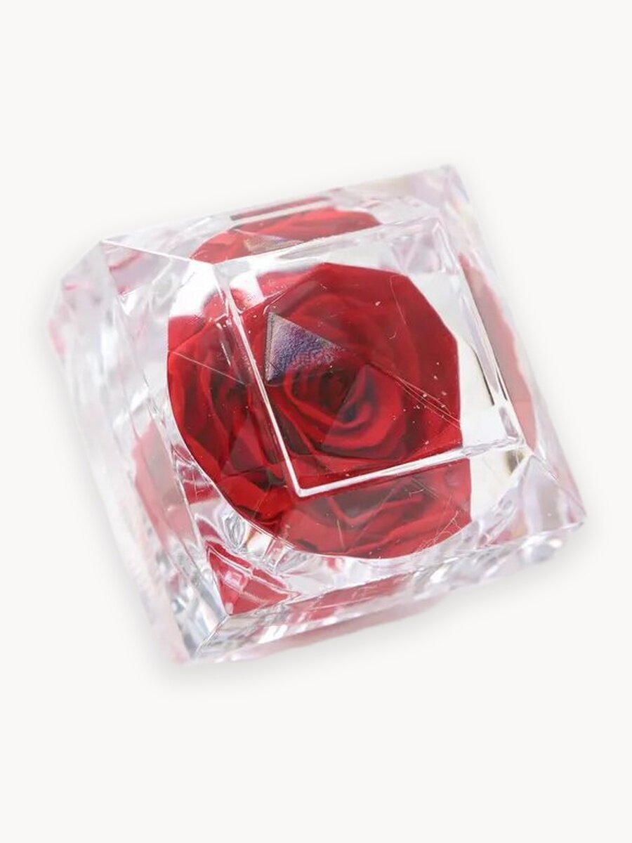 Роза в колбе шкатулке живая стабилизированная подарочная
