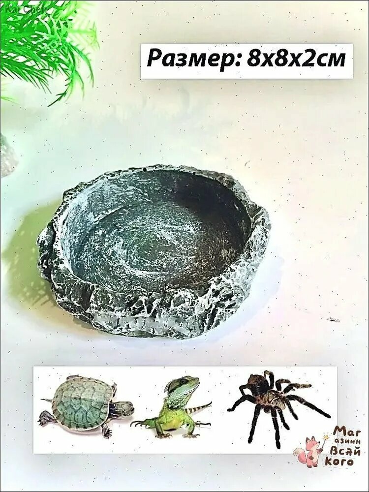 Кормушка поилка для ящериц, пауков, игуан, хамелеонов, рептилий и черепах для террариума и аквариума