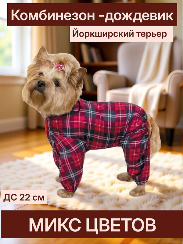 Gamma Комбинезон -дождевик, для собак породы йоркширский терьер, 22 см, микс цветов