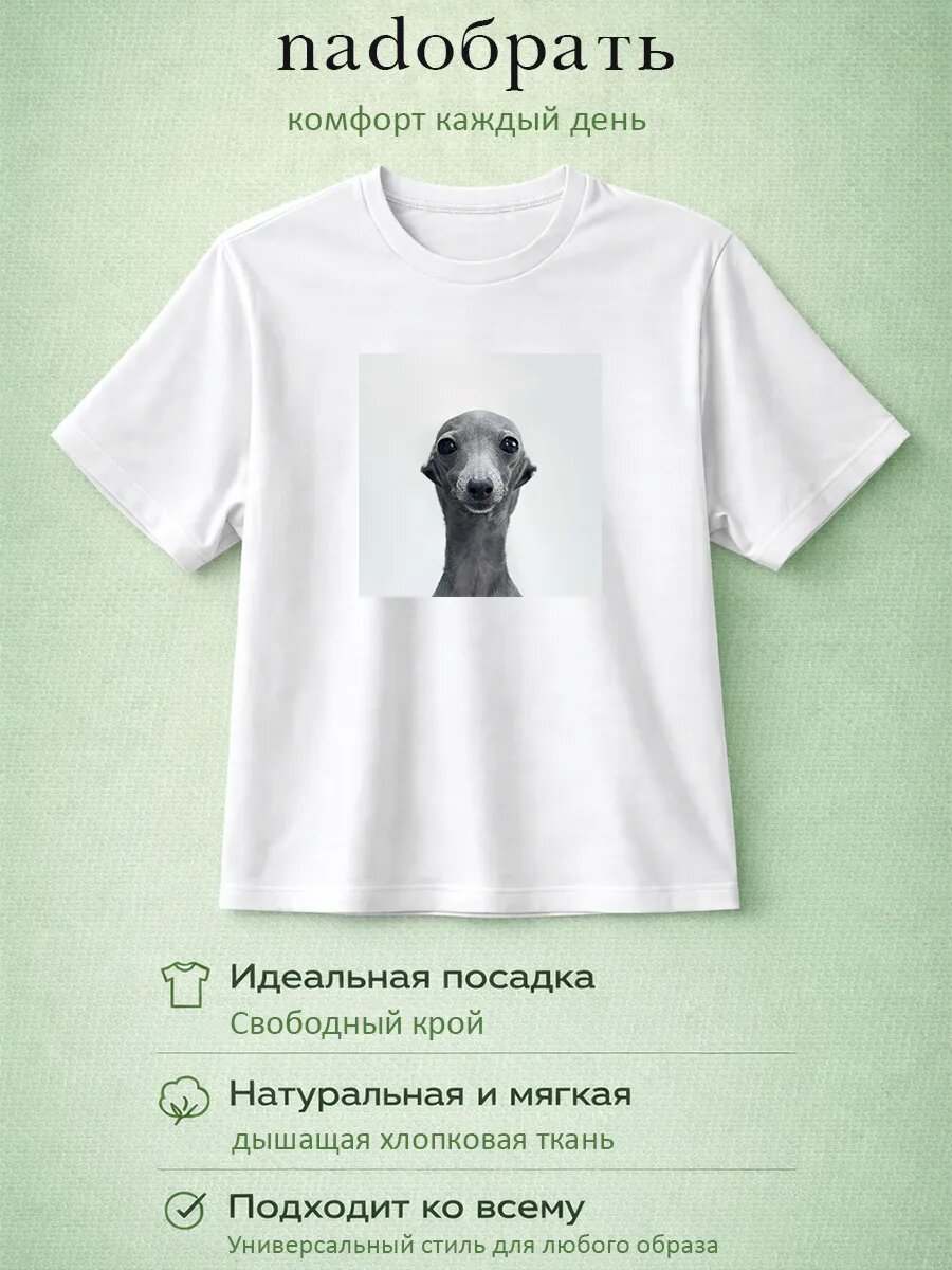 Футболка принт собачка левретка борзая мем смешная