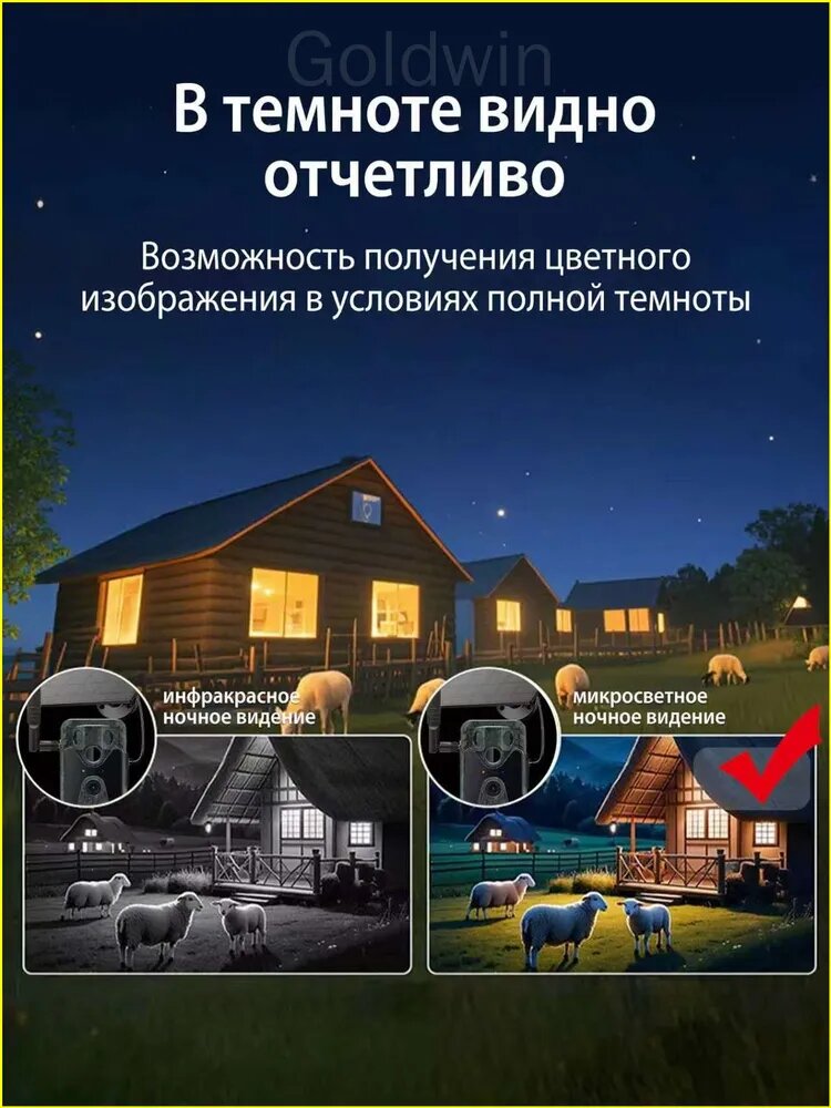 Фотоловушка — фото 1