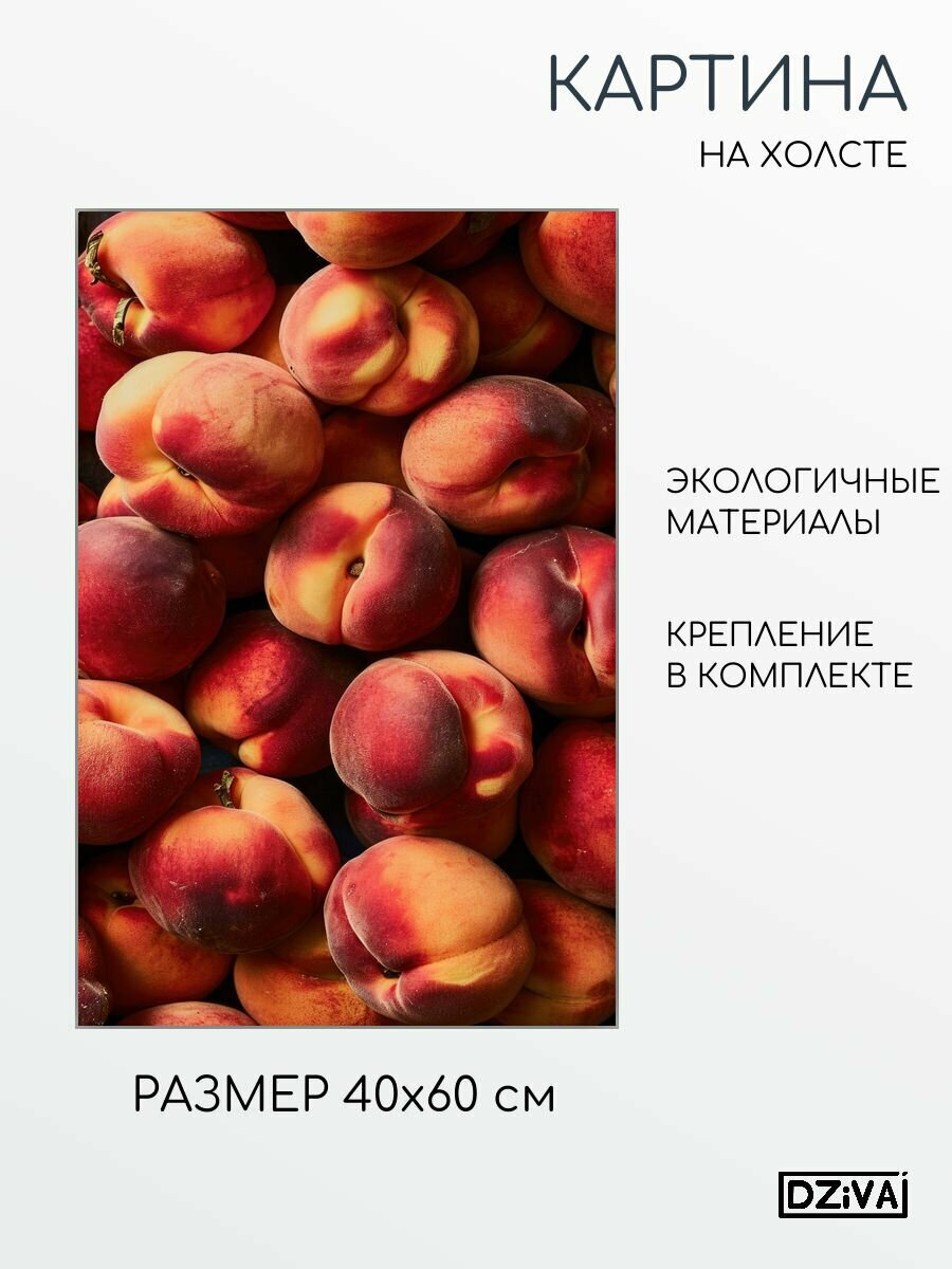 Картина на холсте натюрморт 40x60 см
