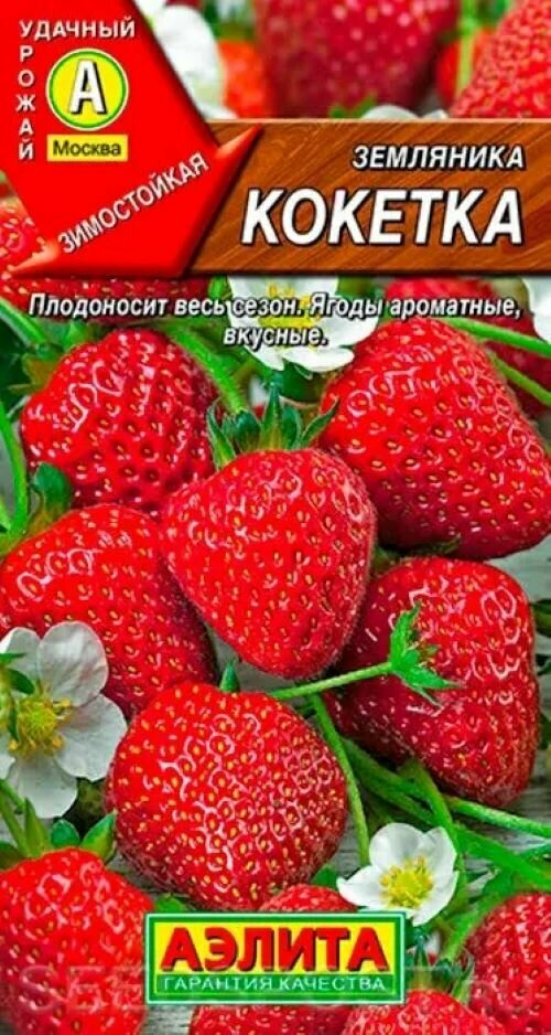 Семена земляники Аэлита Кокетка, ремонтантная крупноплодная, 10 шт