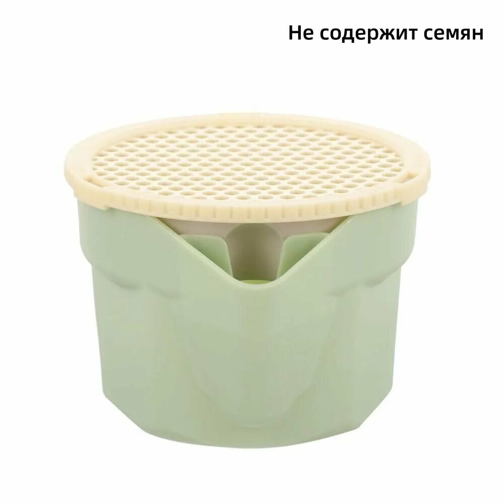 Чашка для выращивания кошачьей травы