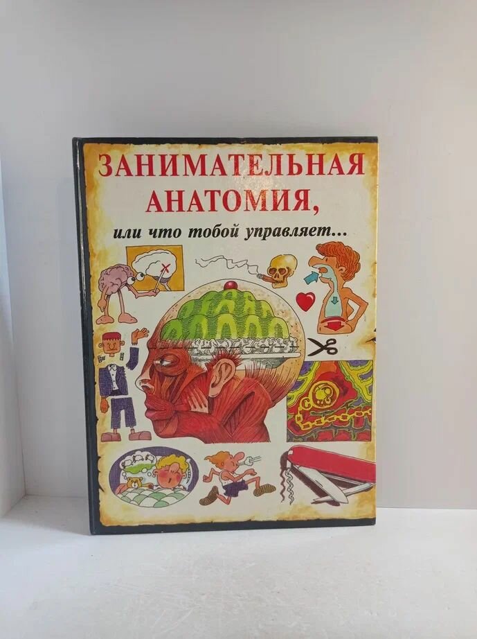 Занимательная анатомия, или что тобой управляет.