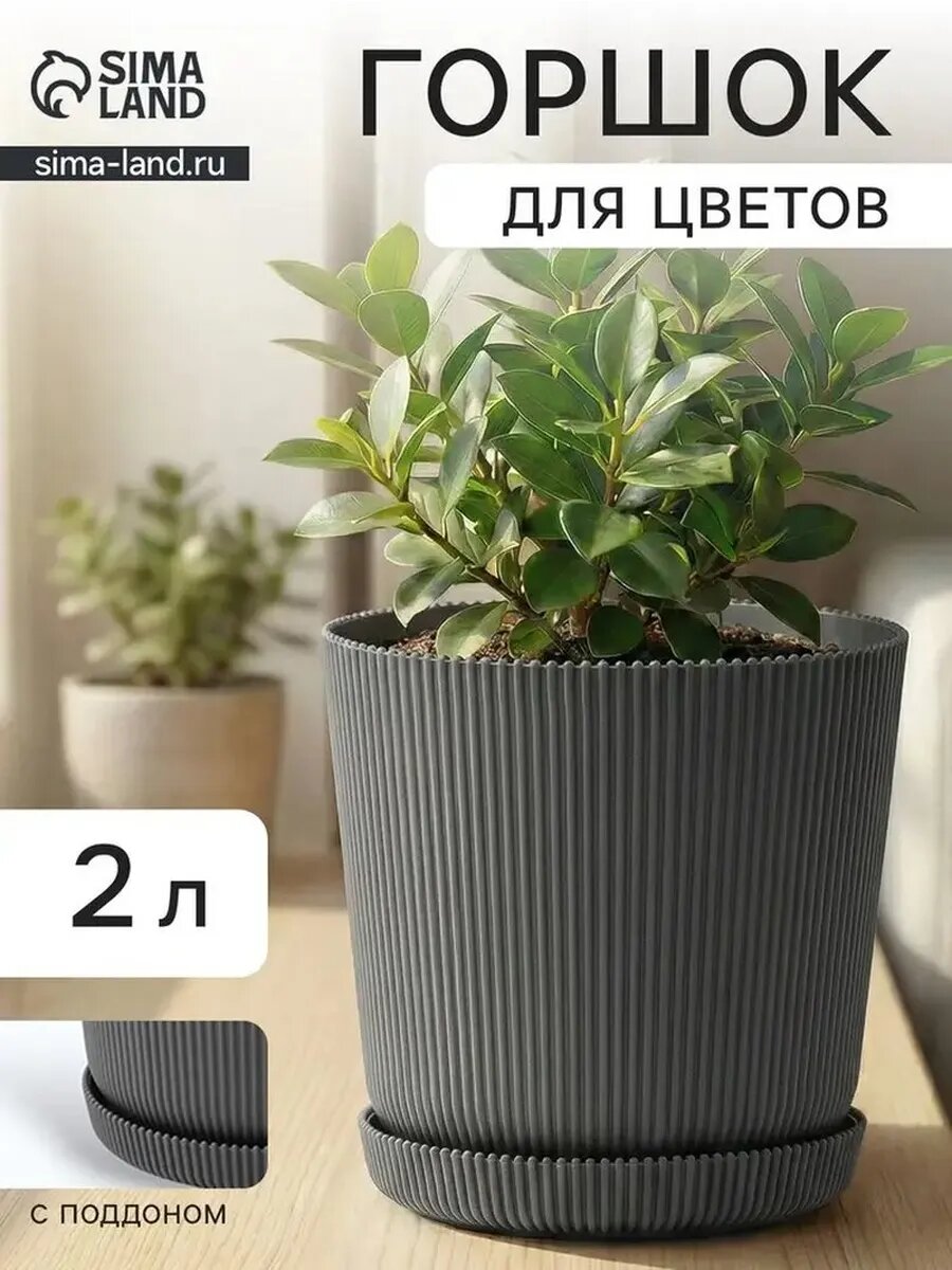 Современный пластиковый горшок с поддоном