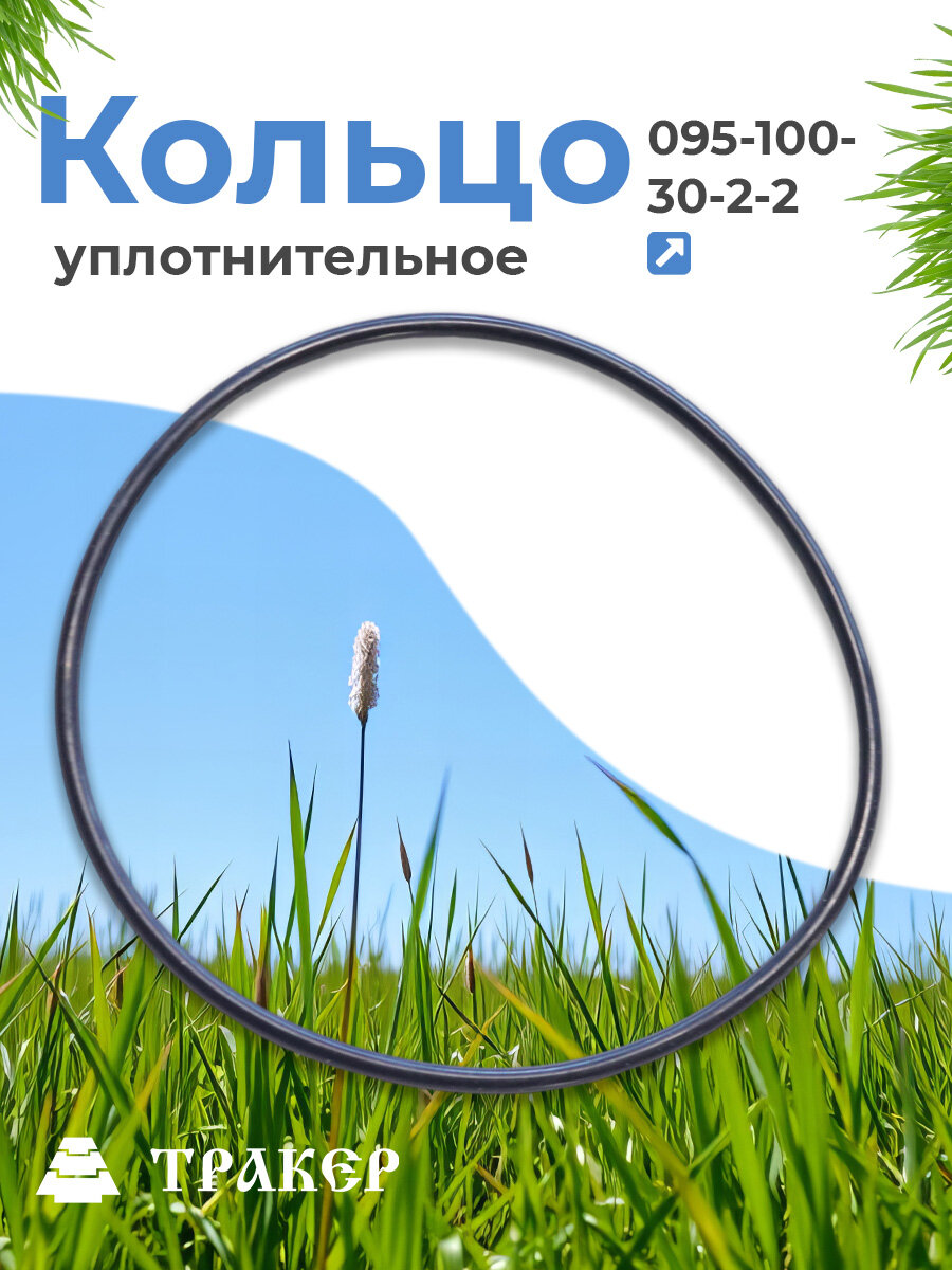 Уплотнительное кольцо 095-100-30-2-2, маслобензостойкое, резина NBR, для гидравлики и пневматики
