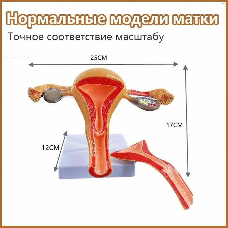 Набор скульптора