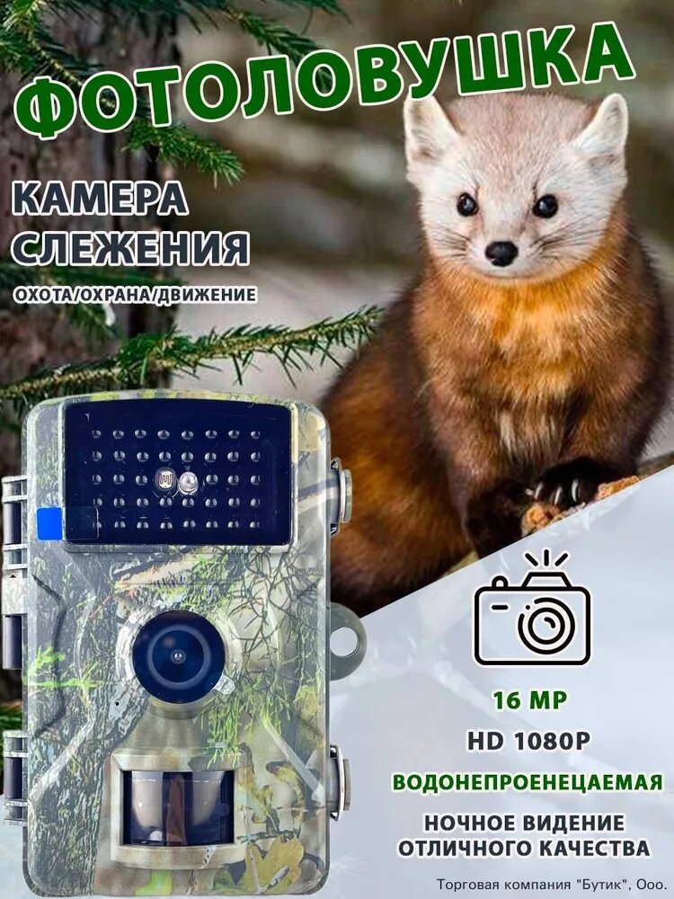 Фотоловушка