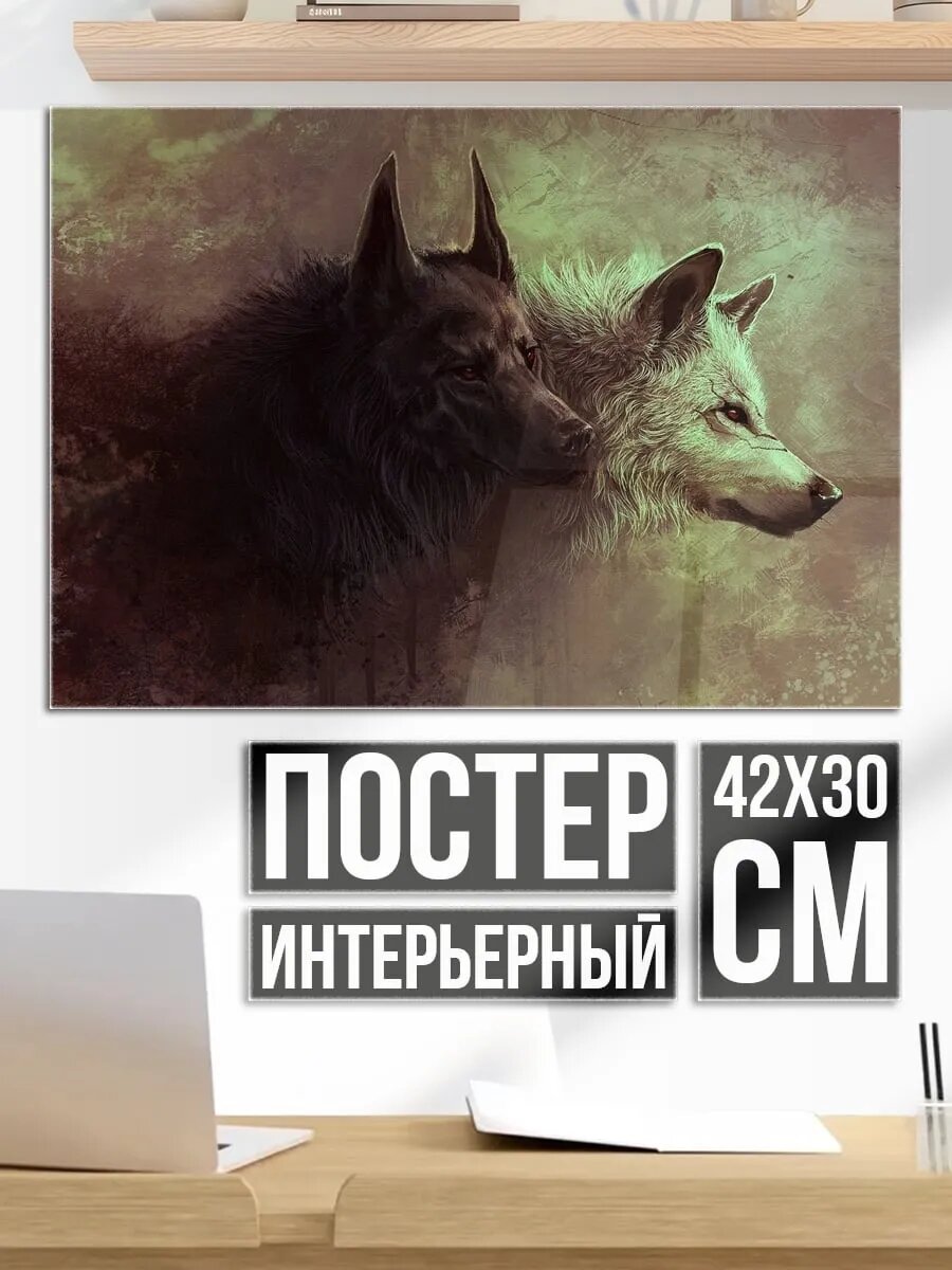 Плакат постер Черно-белый волк