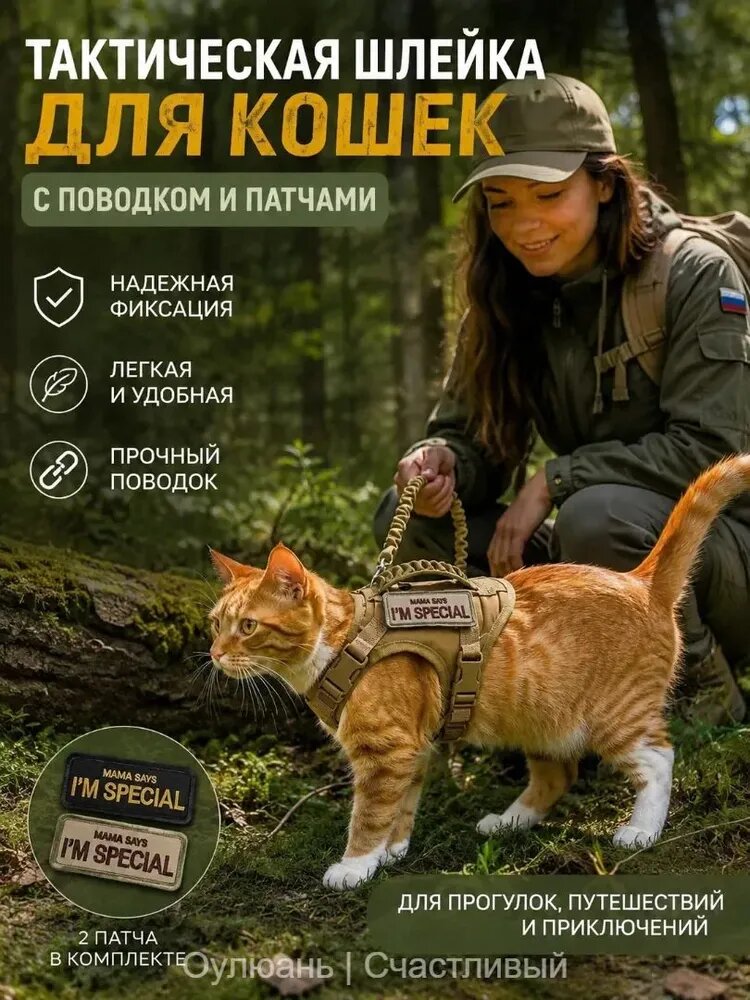 Тактическая шлейка для кошек и собак мелких пород с поводком и патчами, легкая и удобная для прогулок